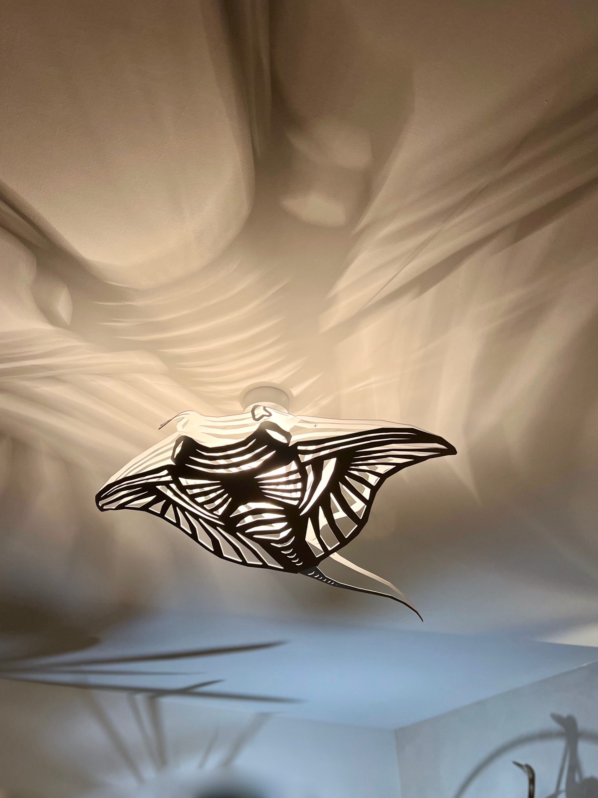 Manta Ray - Ceiling lamps, Lighting | Archerlamps
