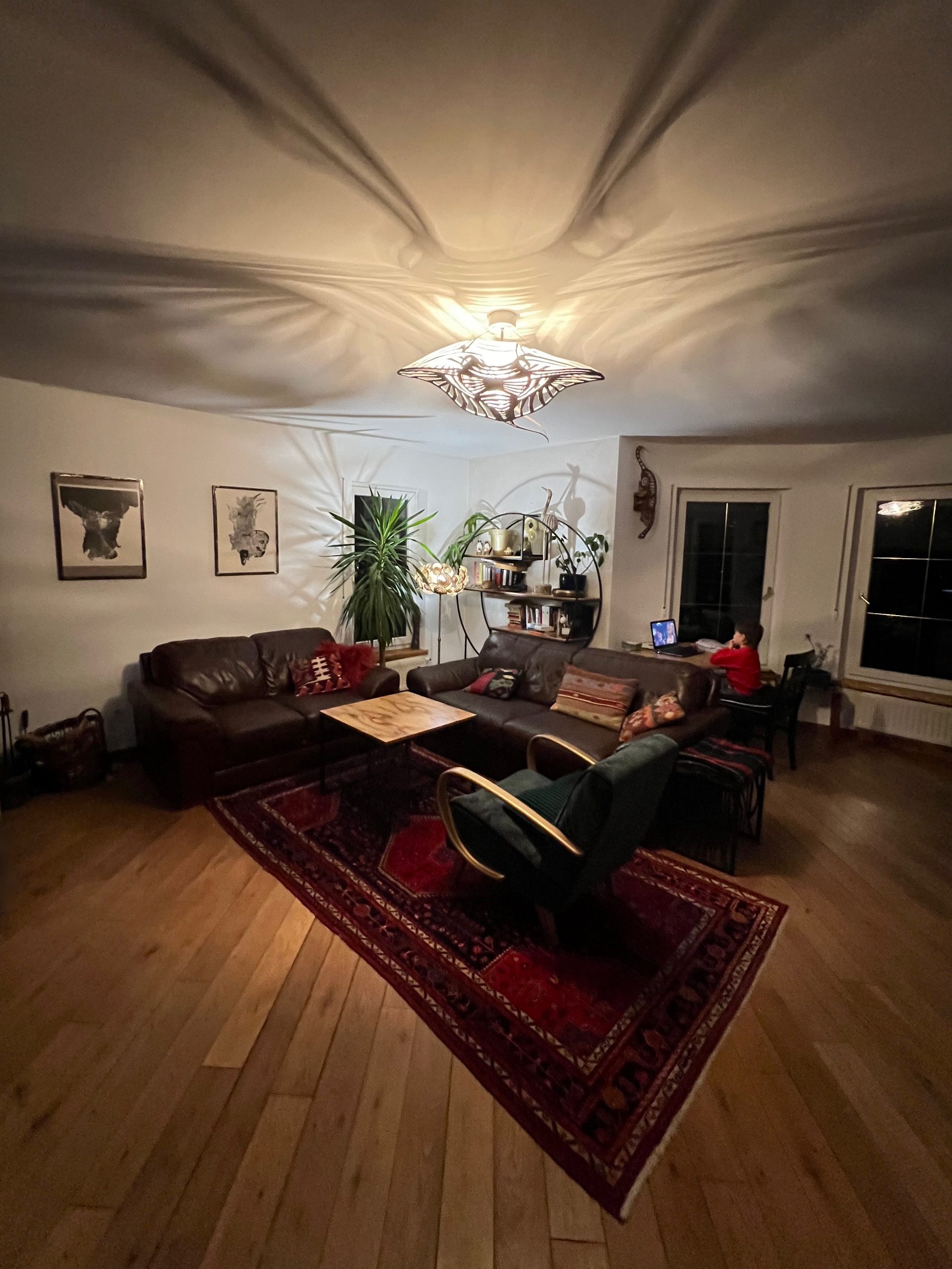 Manta Ray - Ceiling lamps, Lighting | Archerlamps